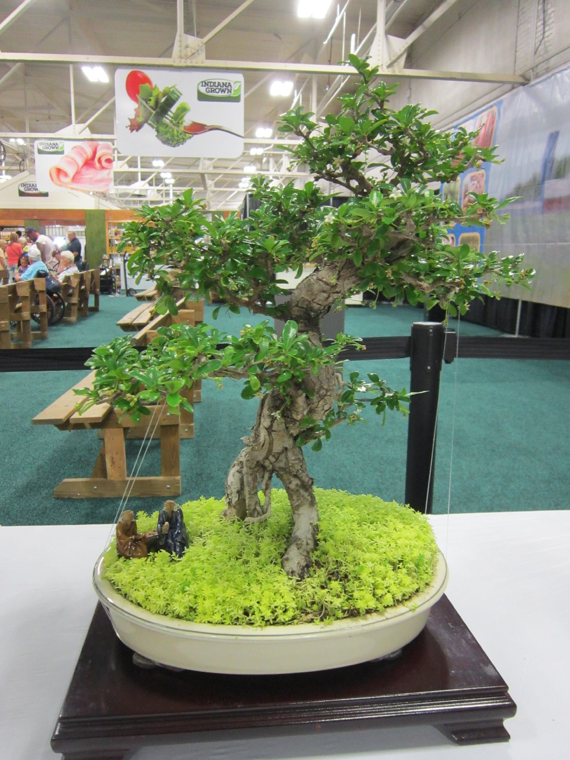 Indiana State Fair 2017 Photos, Part 7 of 7: Random Acts of State ...