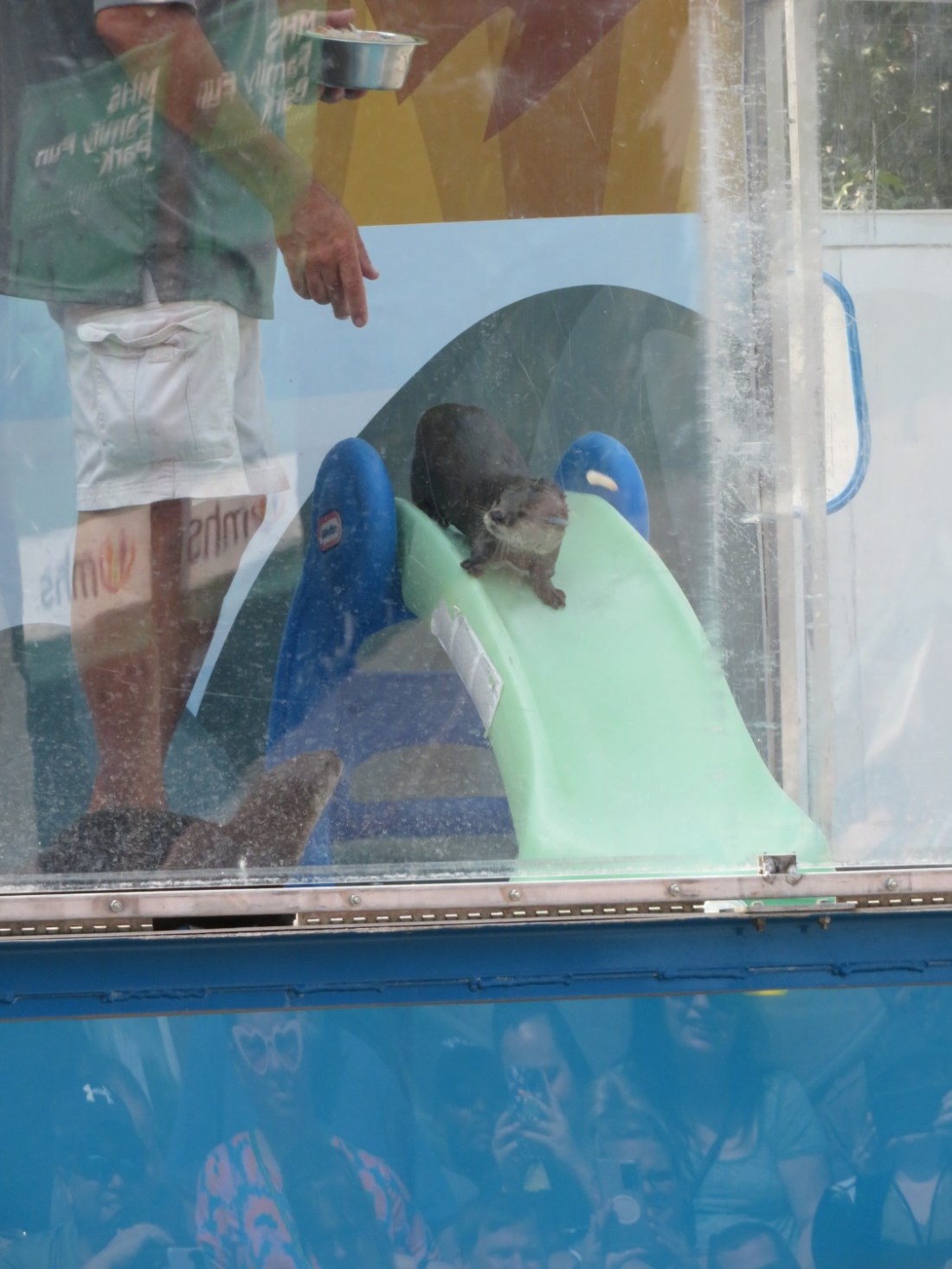 Indiana State Fair 2023 Photos, Part 7 of 9: The Year in Animals ...